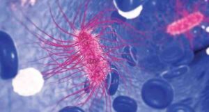 22 interesting facts about bacteria