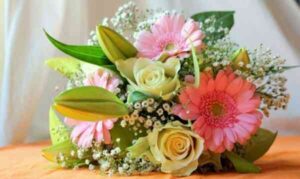 Gullar haqida 27 ta qiziqarli fakt