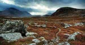 15 weetjes over de toendra